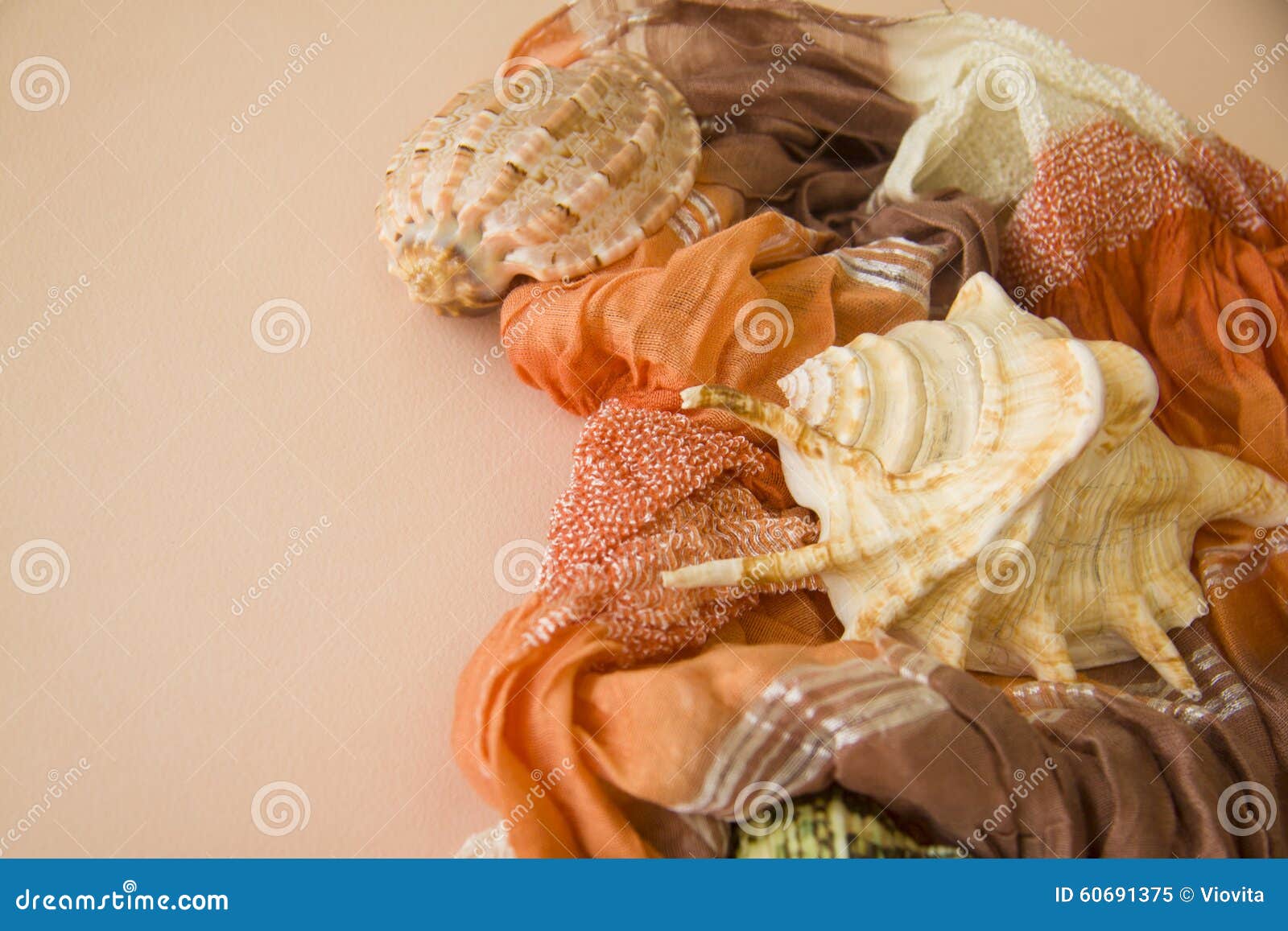 Spa Shells on Orange Textile with Copy Space Stock Image - Image of ...