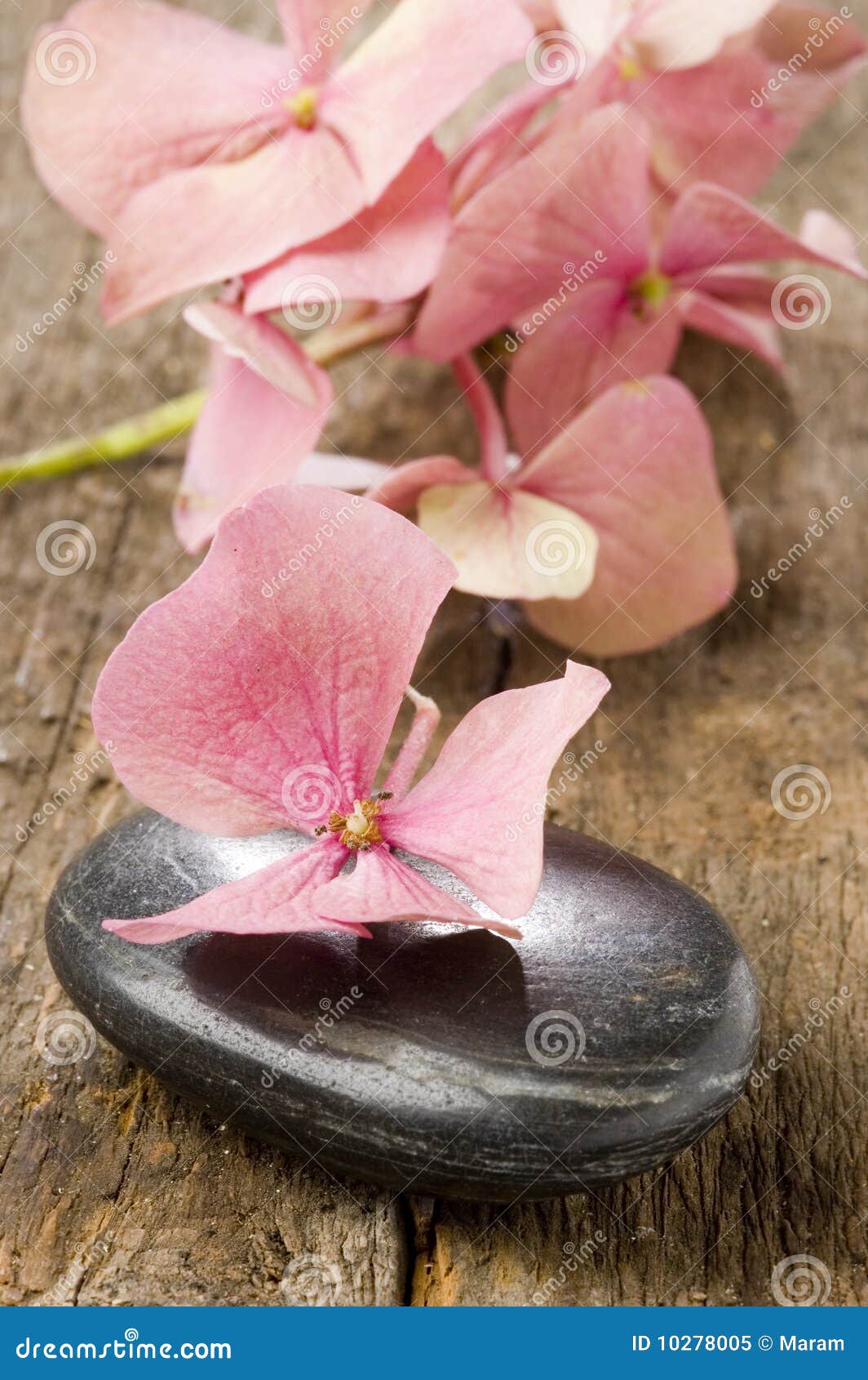 Spa stone stock image. Image of relaxation, skincare - 10278005