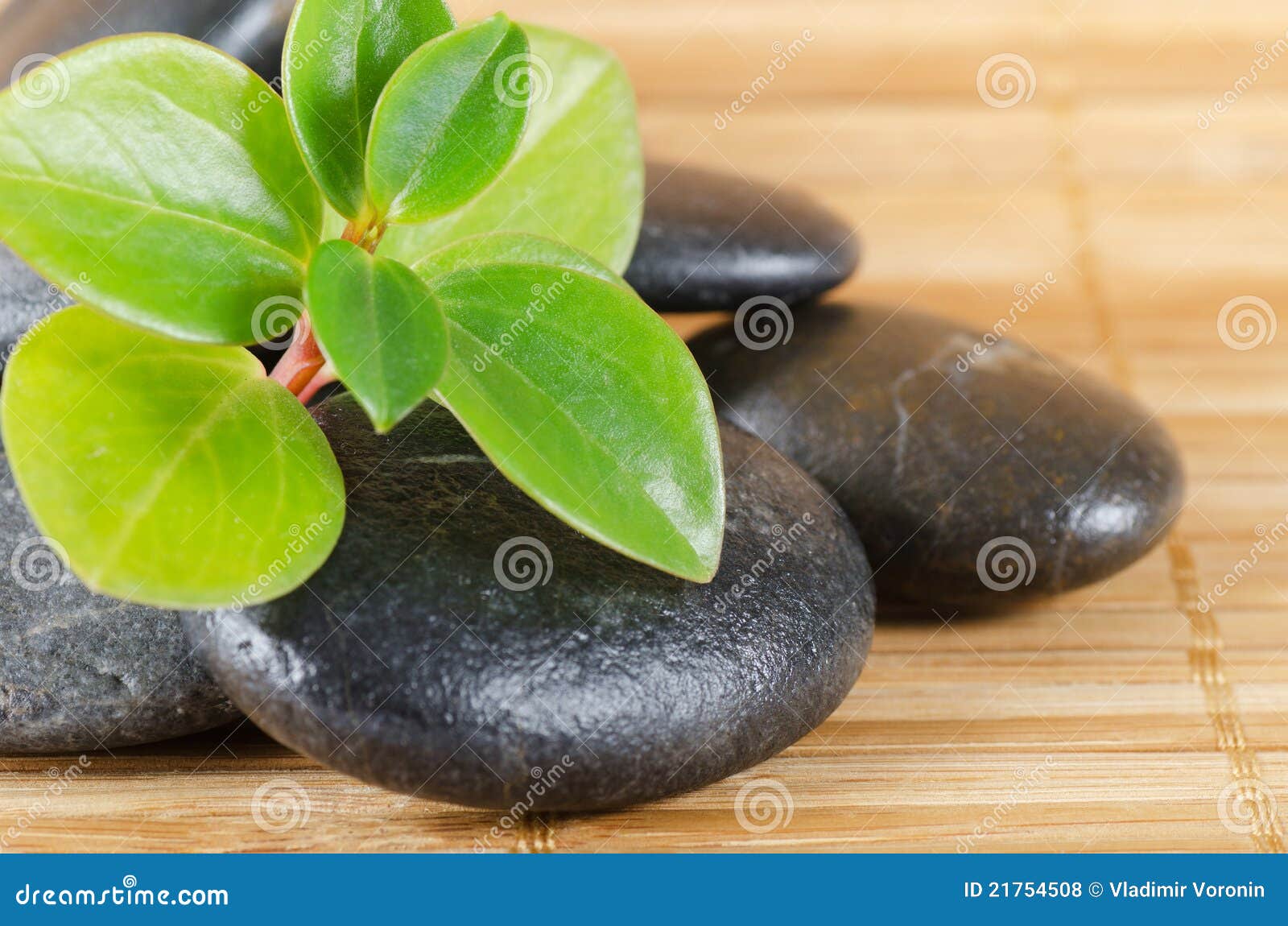 Spa a stone stock photo. Image of lifestyle, black, smooth - 21754508