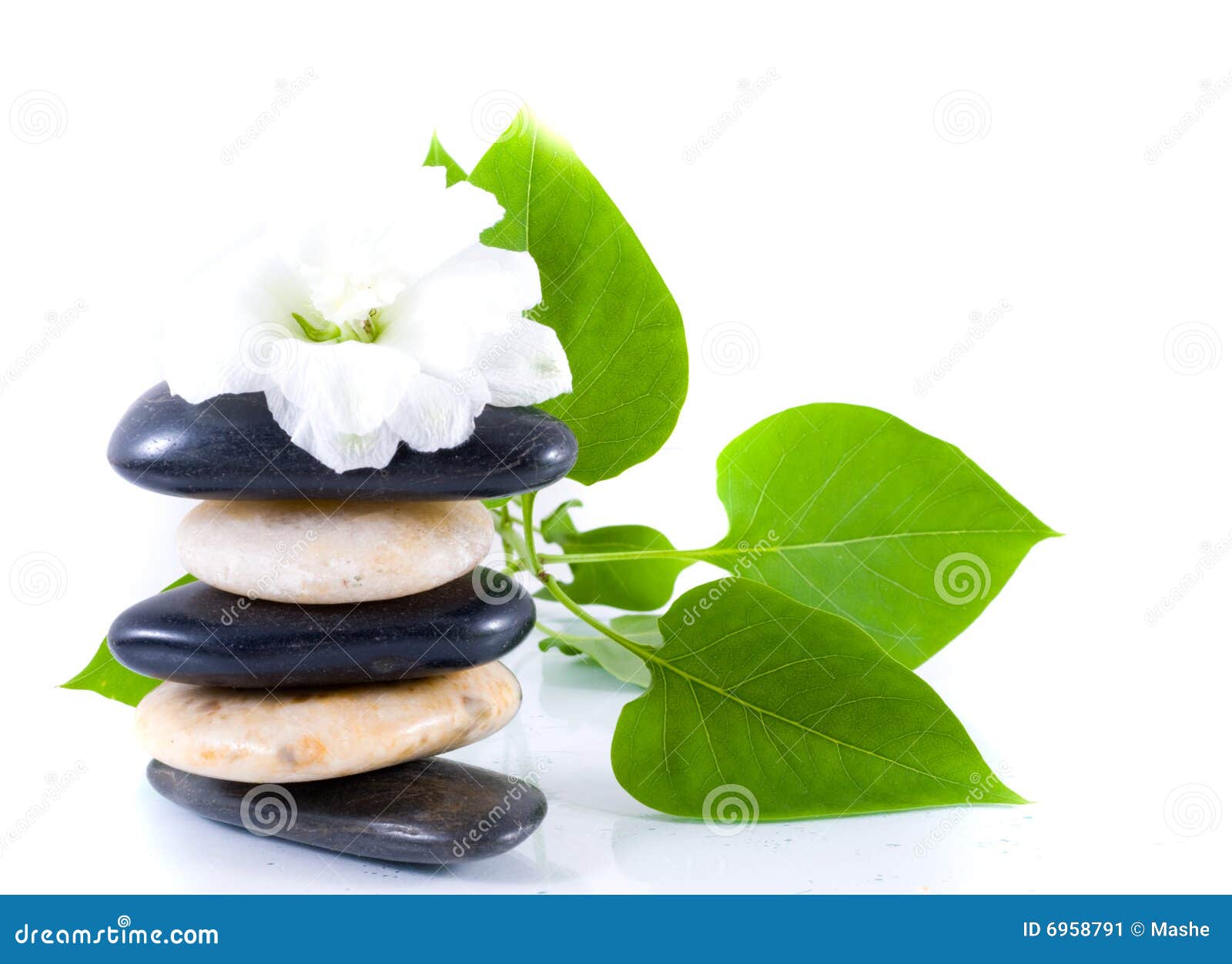 Spa stone stock image. Image of clean, innocence, healthy - 6958791
