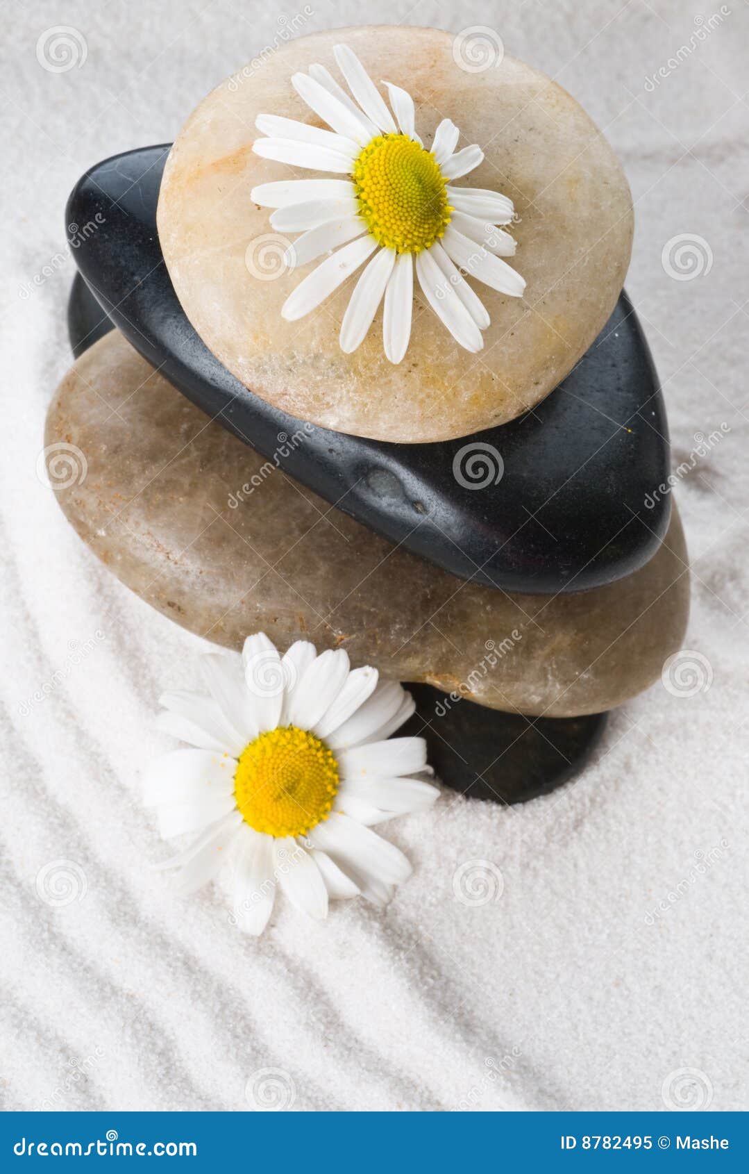 Spa stone stock image. Image of scented, healthy, nature - 8782495