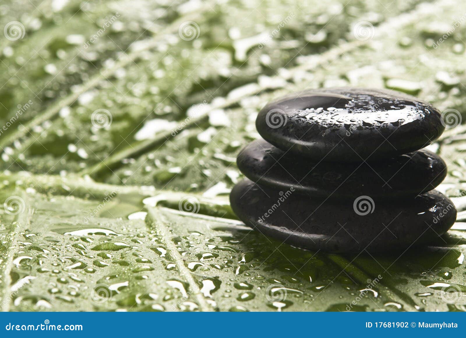 Spa stones stock photo. Image of fresh, green, medicine - 17681902