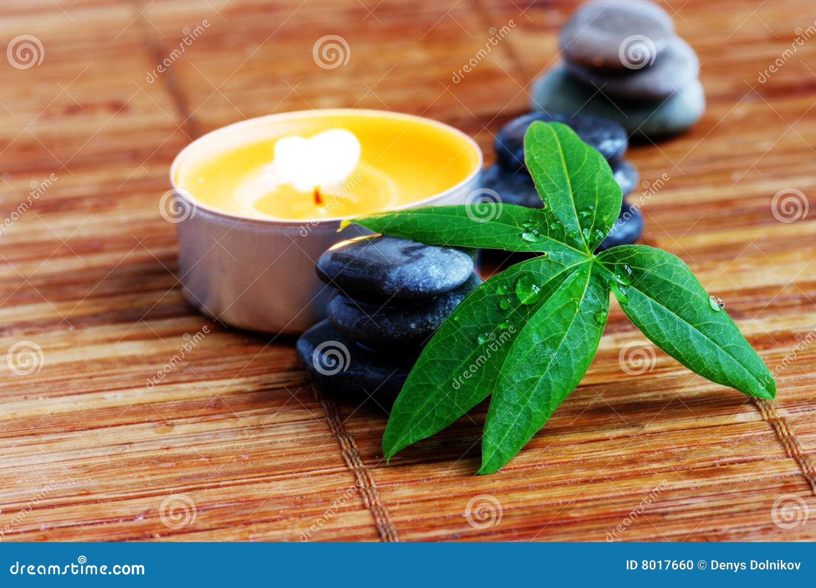 Spa stones stock photo. Image of foliage, like, harmony - 8017660