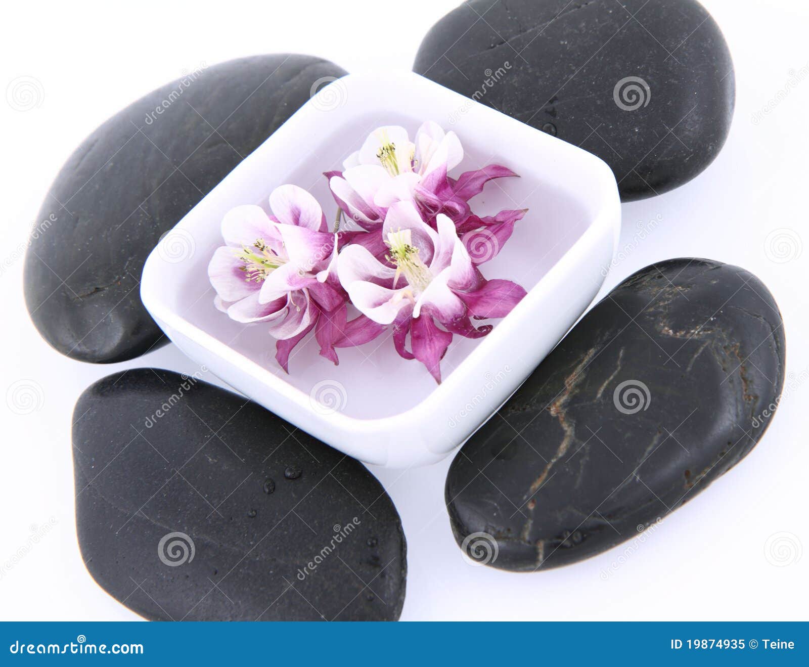 Spa Stones and Floating Flower Stock Image - Image of bodycare, blossom ...