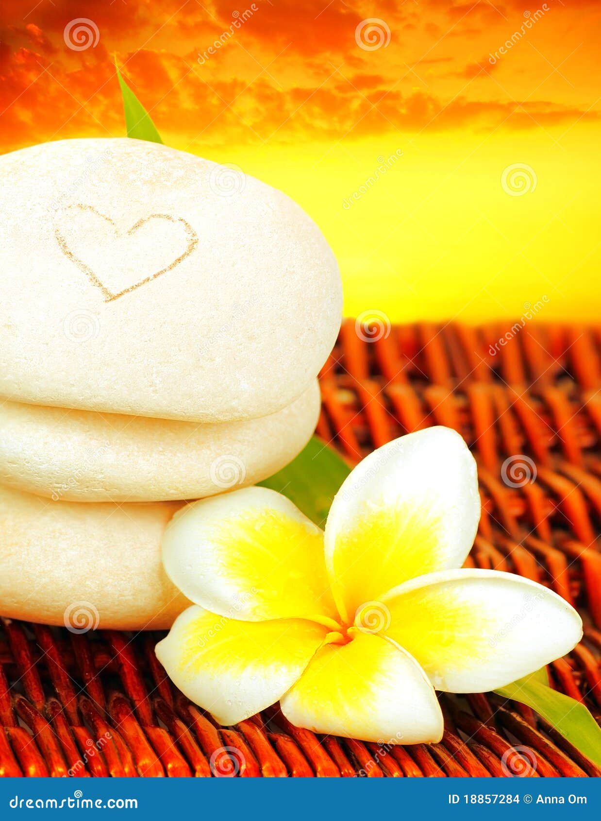 Spa stones & flowers stock photo. Image of healthy - 18857284