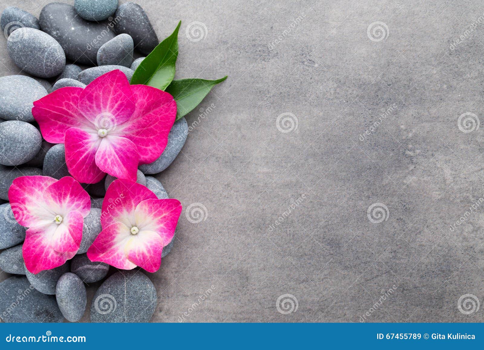 Spa Stones and Flowers, on Grey Background. Stock Image - Image of grey ...