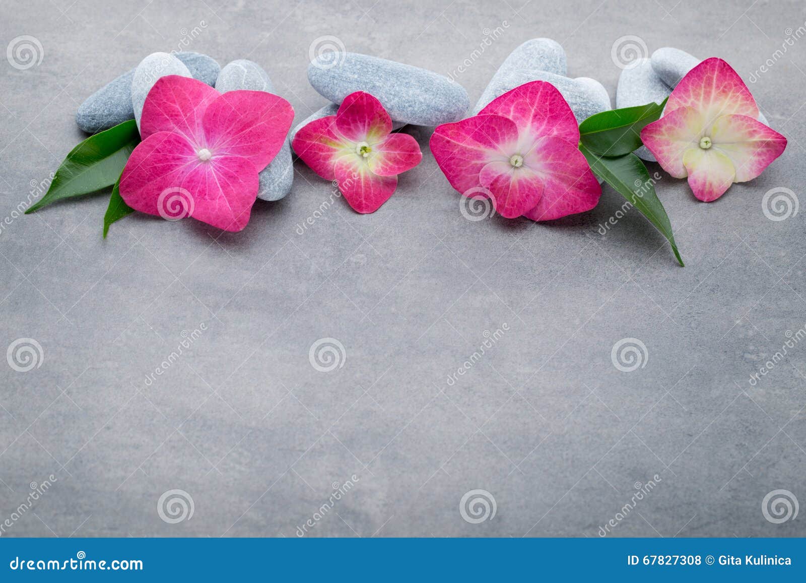 Spa Stones and Flowers, on Grey Background. Stock Photo - Image of grey ...