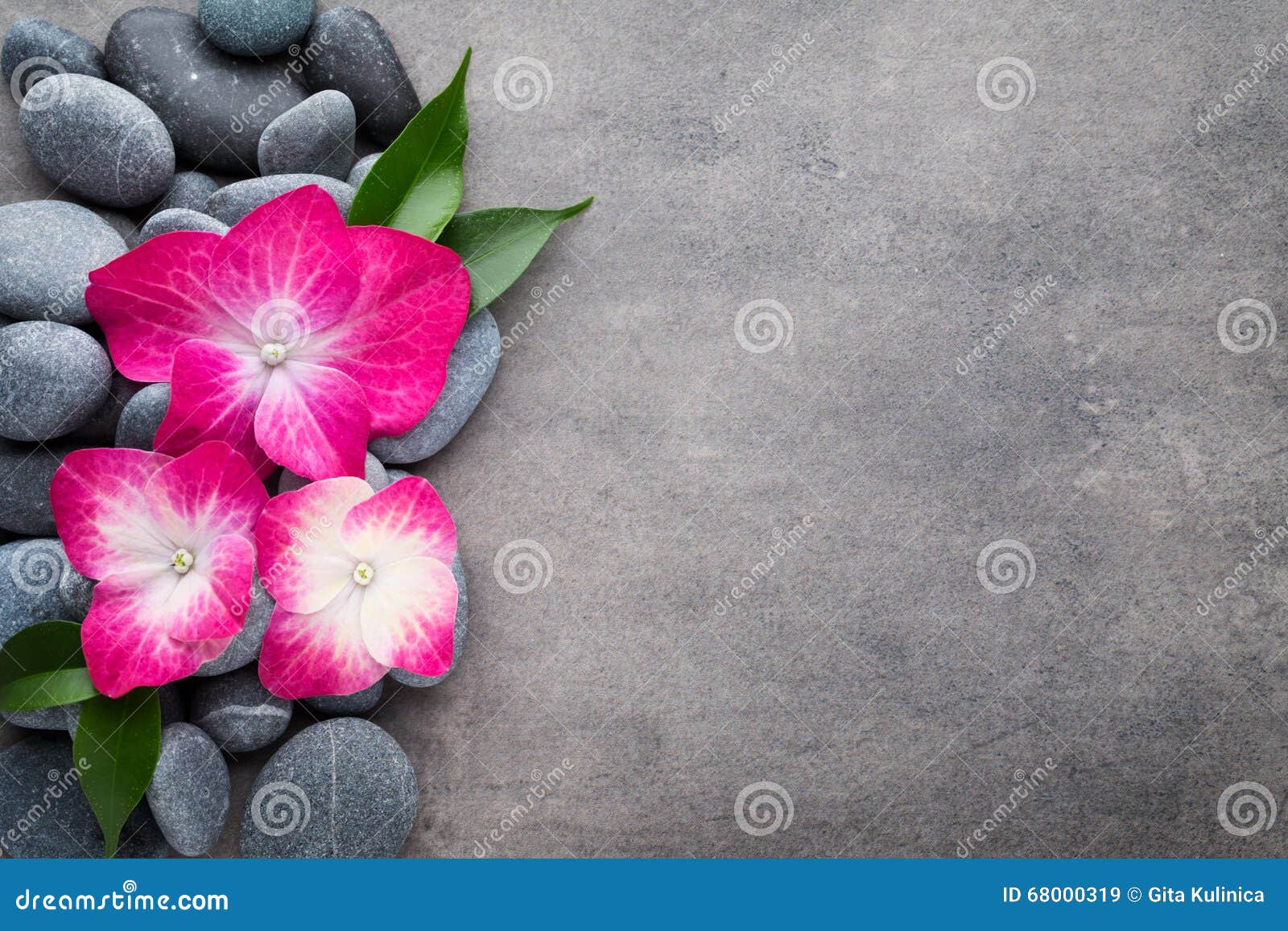 Spa Stones and Flowers, on Grey Background. Stock Image - Image of ...
