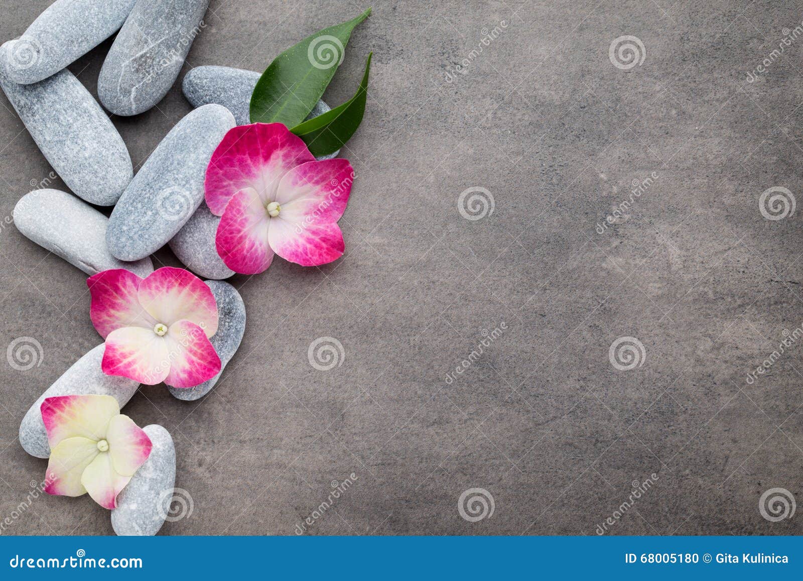 Spa Stones and Flowers, on Grey Background. Stock Photo - Image of ...