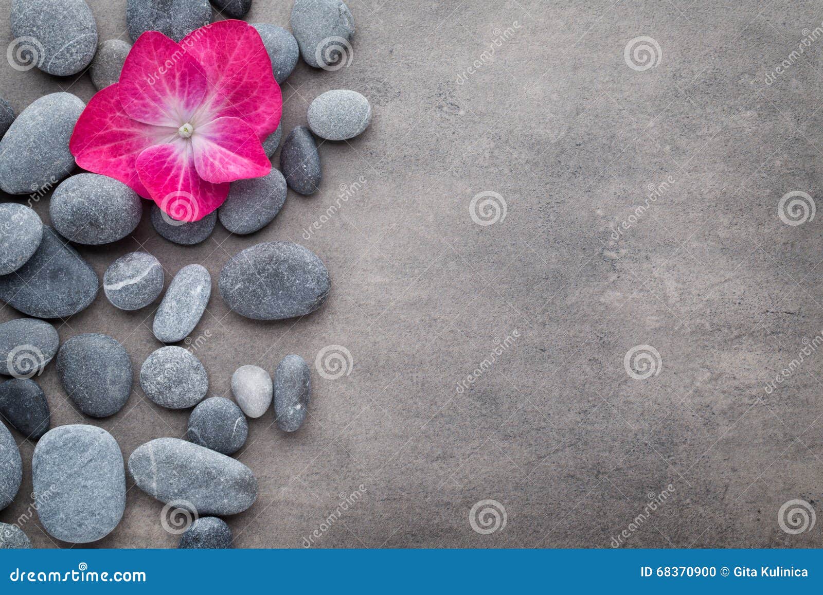 Spa Stones and Flowers, on Grey Background. Stock Photo - Image of ...