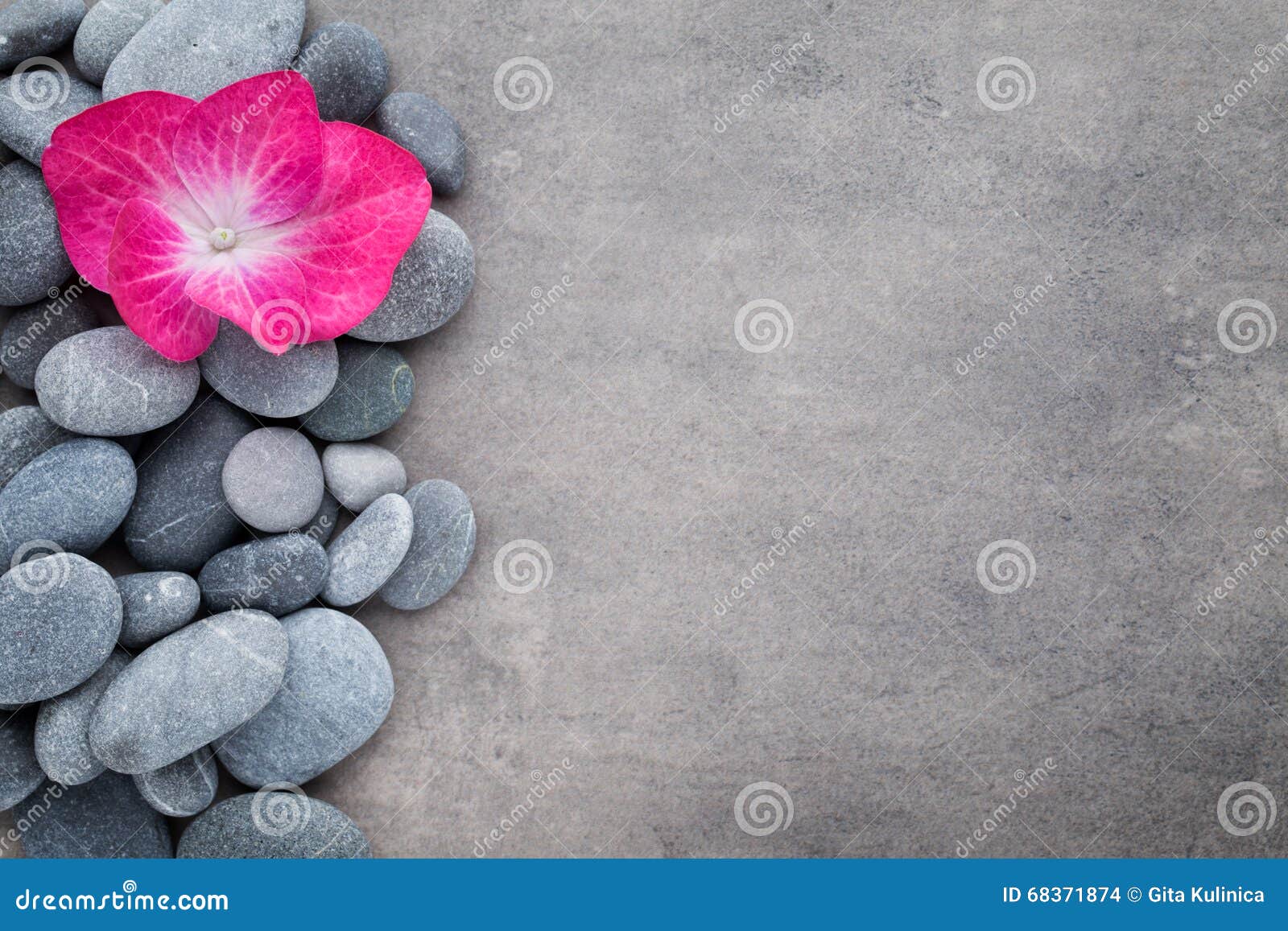 Spa Stones and Flowers, on Grey Background. Stock Photo - Image of ...