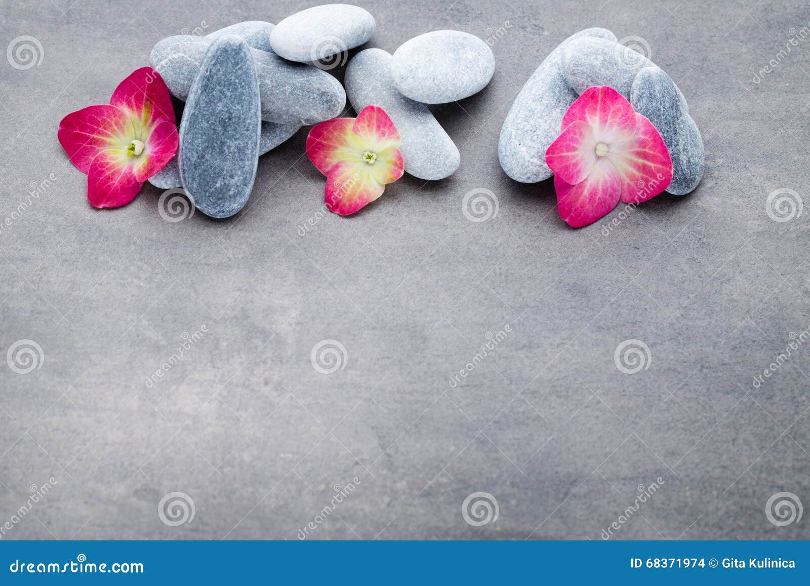 Spa Stones and Flowers, on Grey Background. Stock Photo - Image of ...