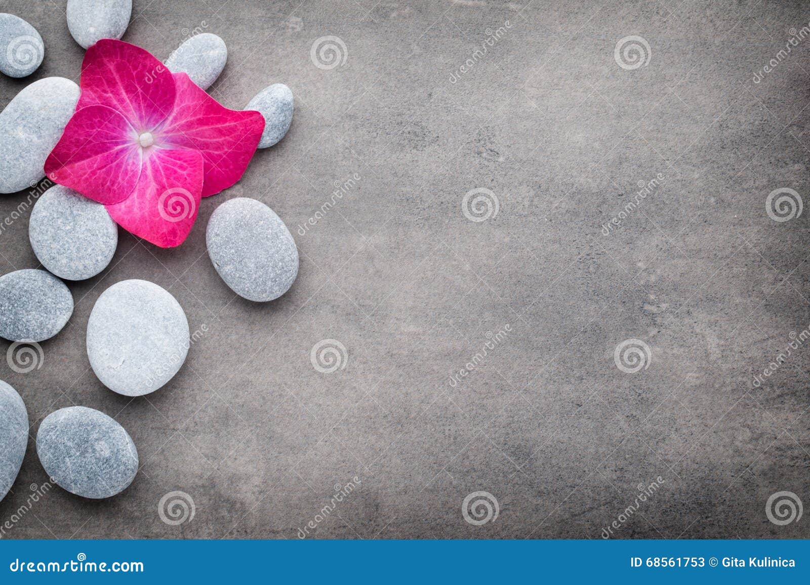 Spa Stones and Flowers, on Grey Background. Stock Image - Image of ...