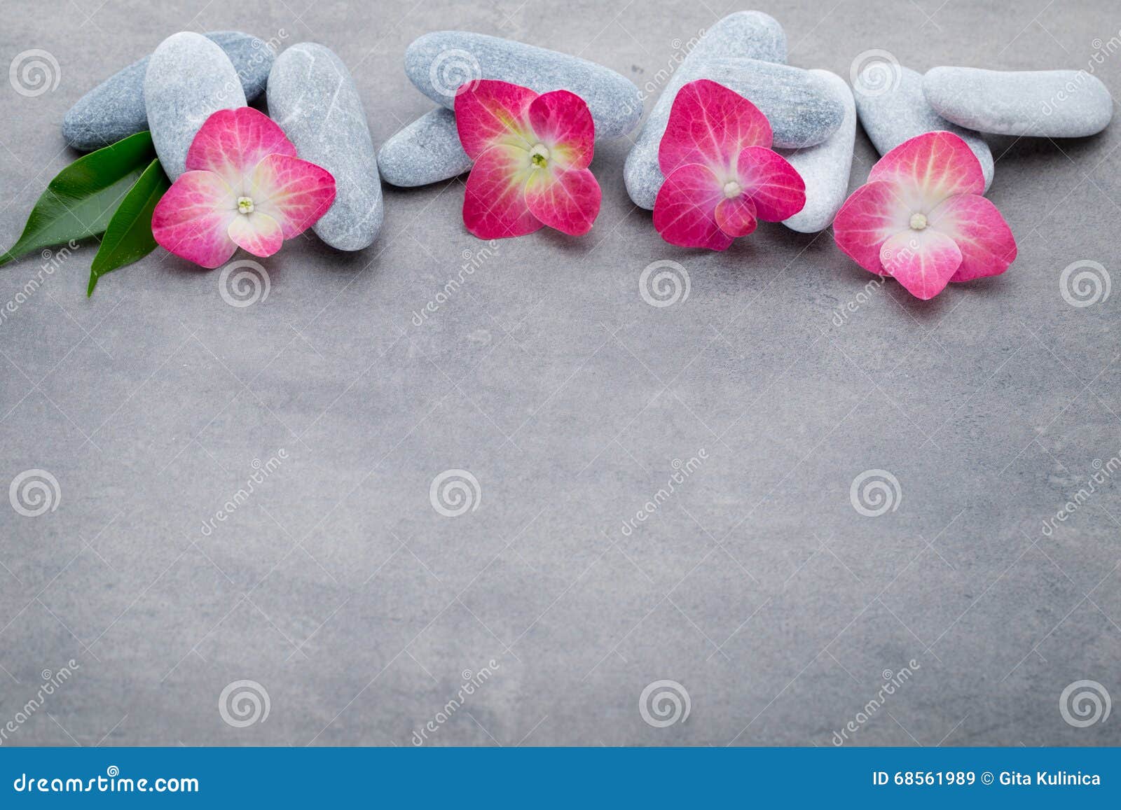 Spa Stones and Flowers, on Grey Background. Stock Image - Image of ...