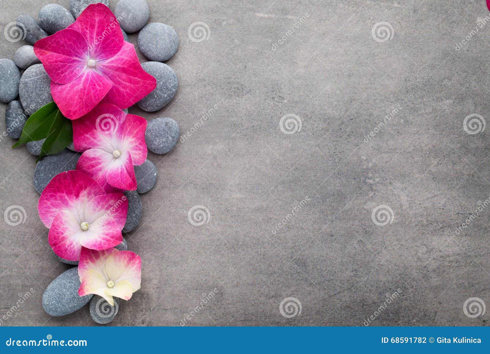 Spa Stones and Flowers, on Grey Background. Stock Photo - Image of ...
