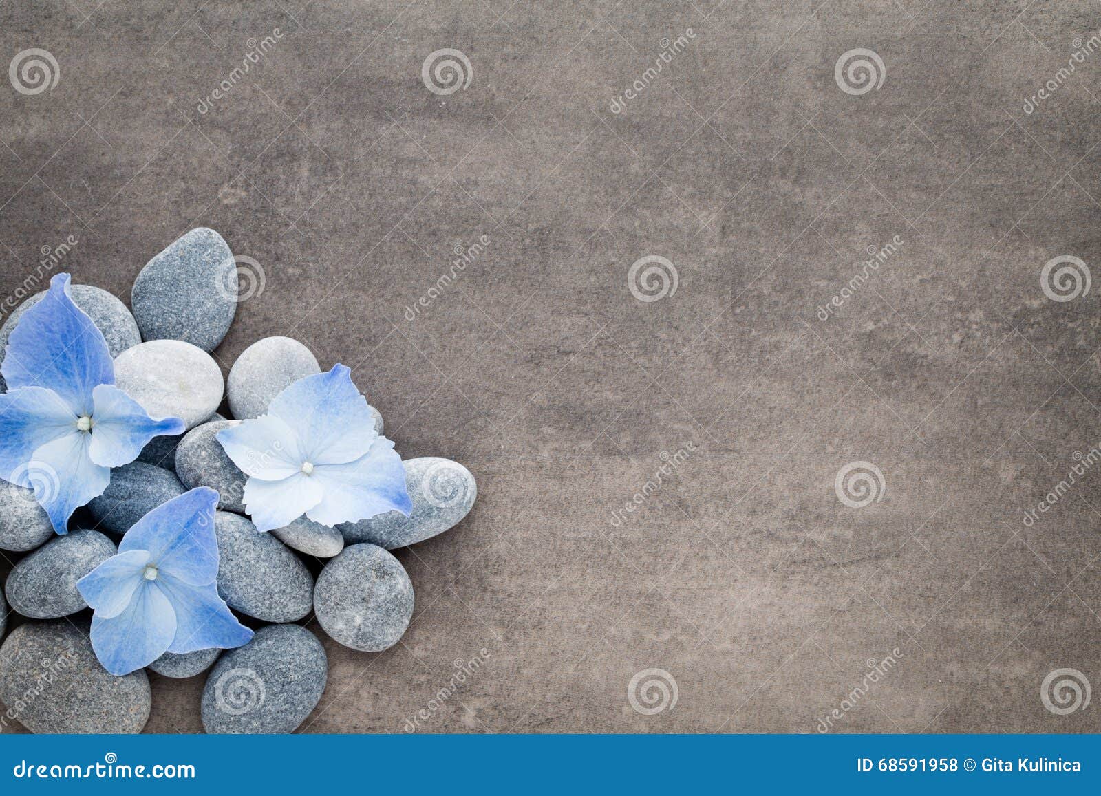 Spa Stones and Flowers on Grey Background Stock Photo - Image of stones ...