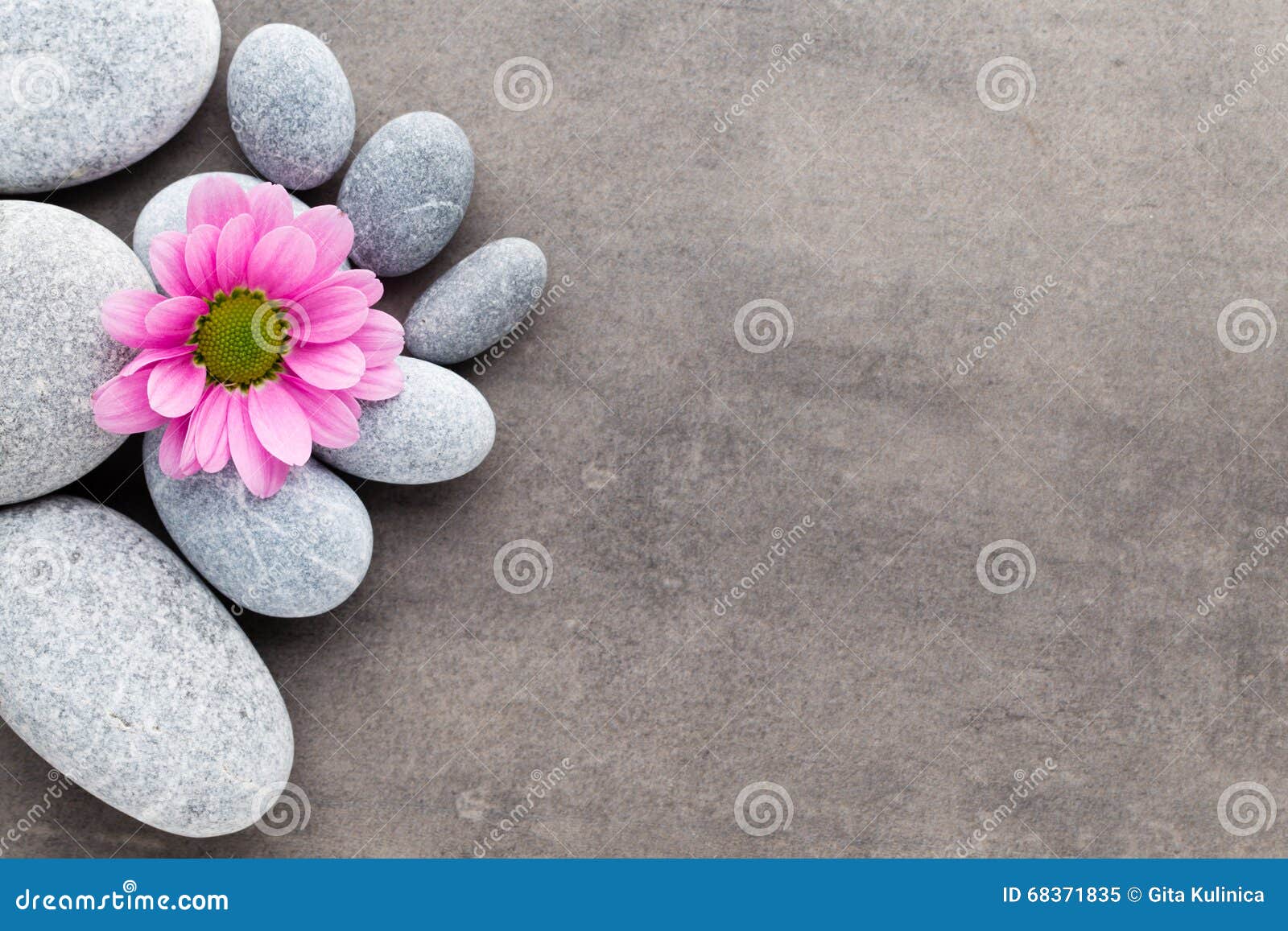 Spa Stones and Flowers on Grey Background. Stock Image - Image of ...