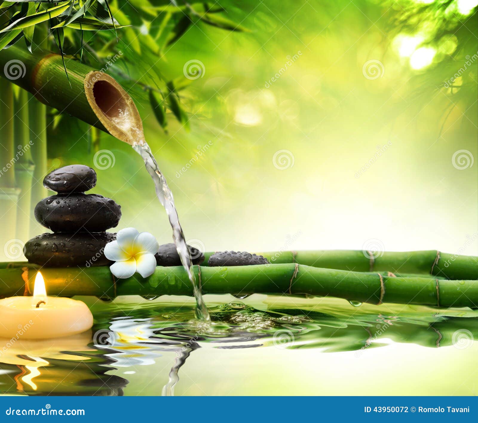 Spa Stones in Garden with Flow Water Stock Photo - Image of flower ...