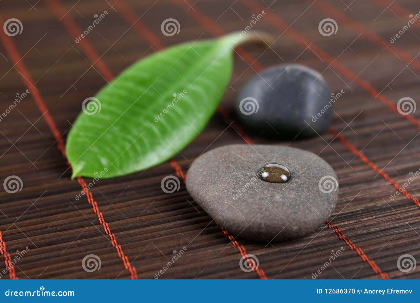 SPA stones and green leaf stock photo. Image of healthy - 12686370