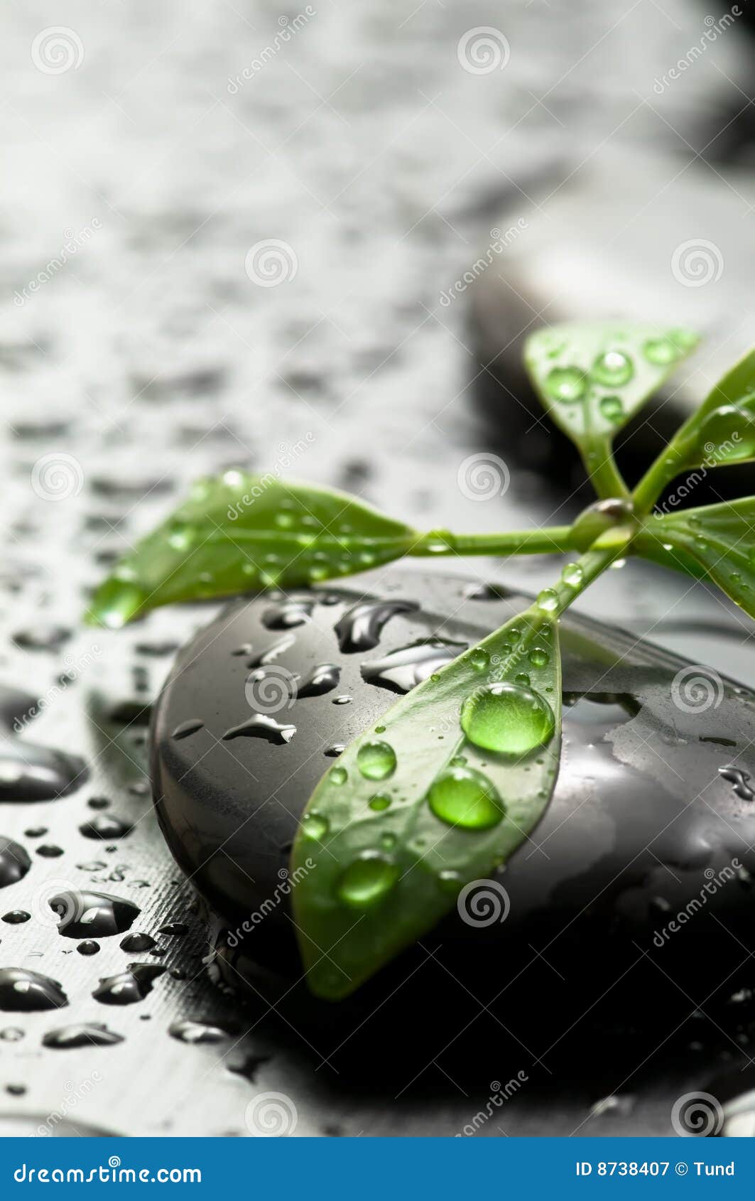 Spa stones with leaf stock image. Image of stones, close - 8738407
