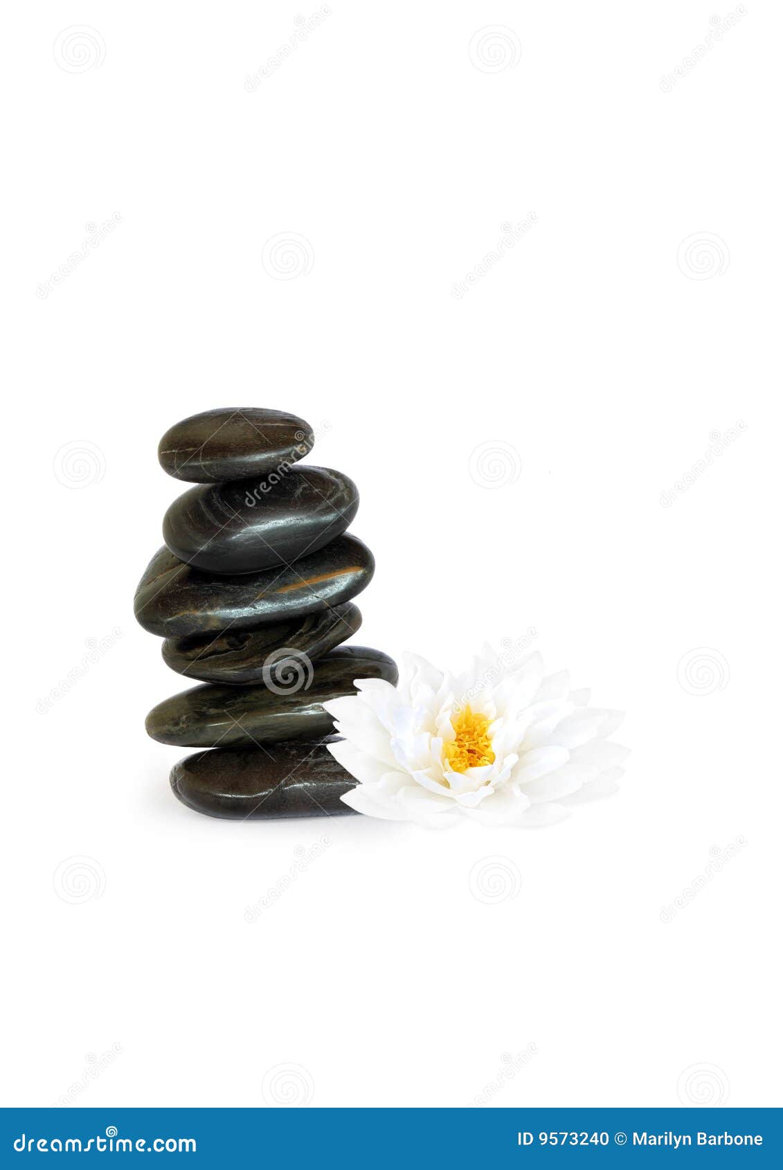 Spa Stones and Lotus Lily Flower Stock Photo - Image of abstract ...