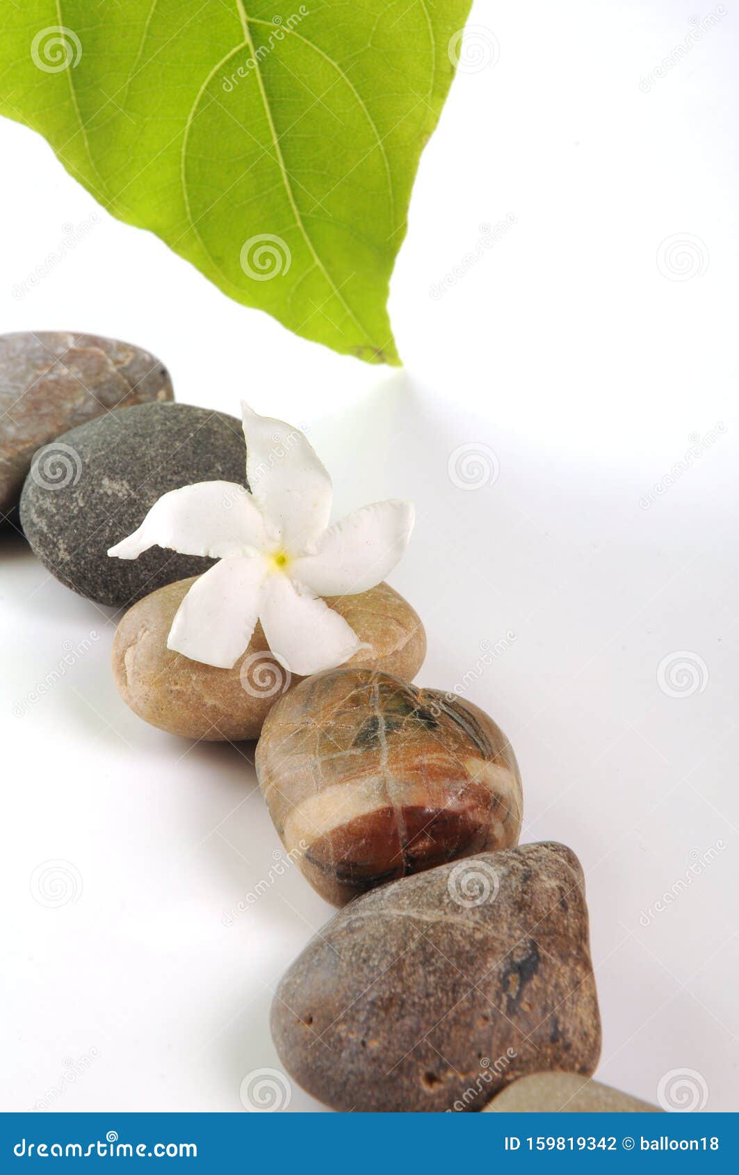 Spa stones path stock photo. Image of black, beauty - 159819342