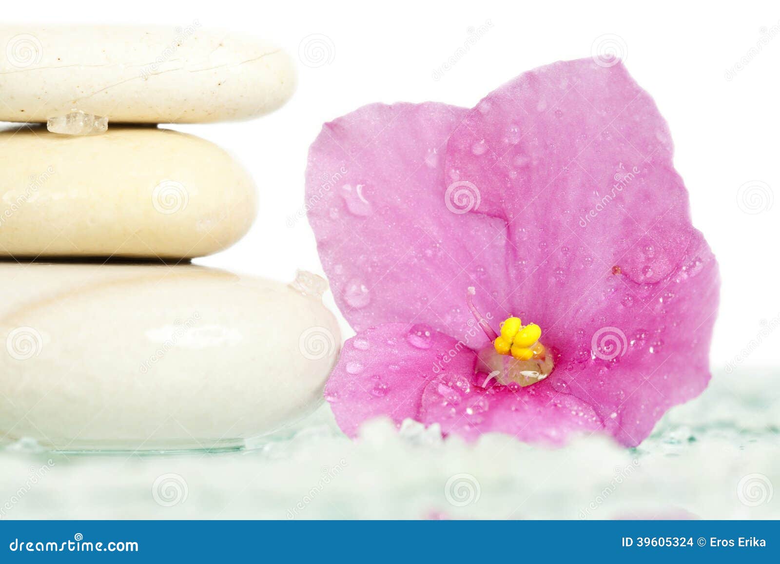 Spa stones and pink flower stock photo. Image of composition - 39605324