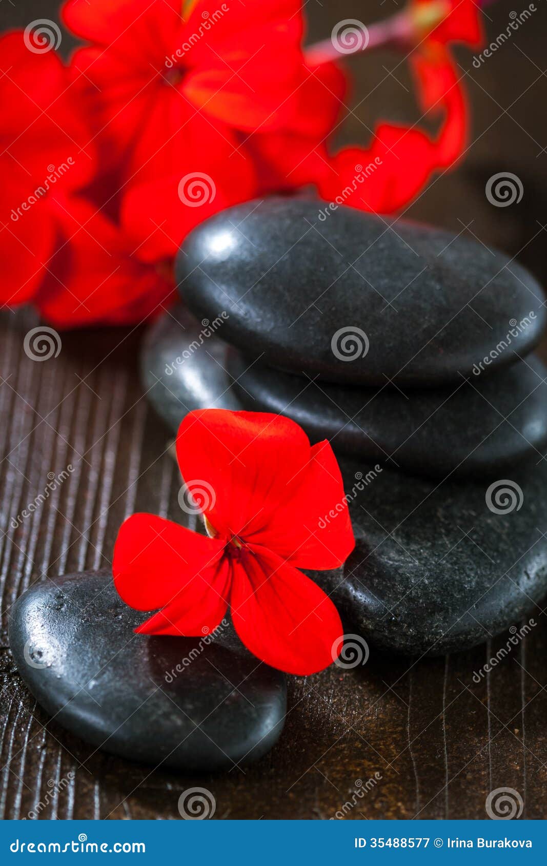 Spa Stones stock image. Image of flower, tranquil, alternative - 35488577