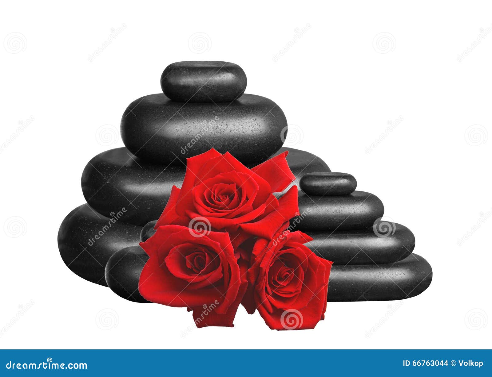 Spa Stones and Red Roses Isolated on White Stock Photo - Image of ...