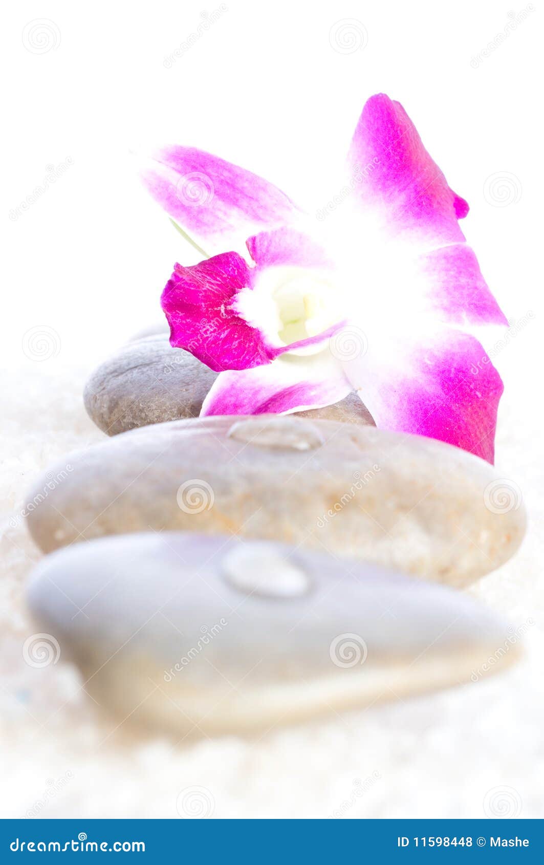 Spa stones with water drop stock photo. Image of leave - 11598448