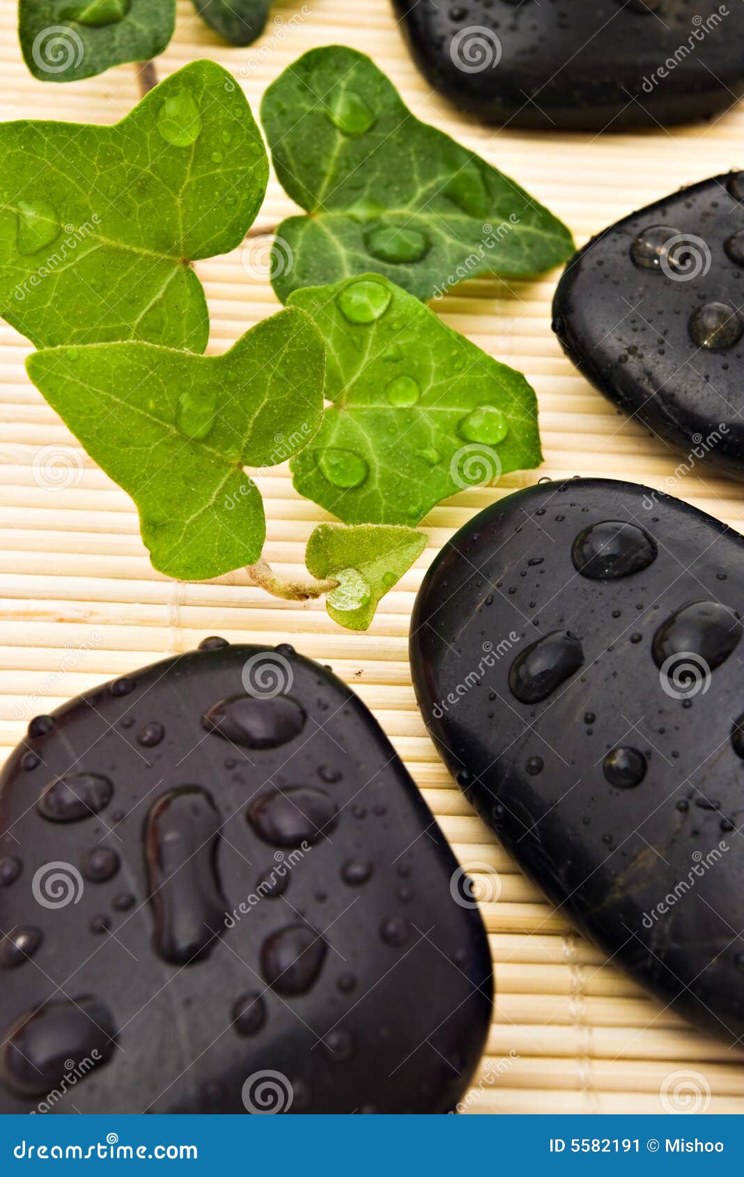 Spa Stones with Water-drops Stock Image - Image of arrangement, care ...
