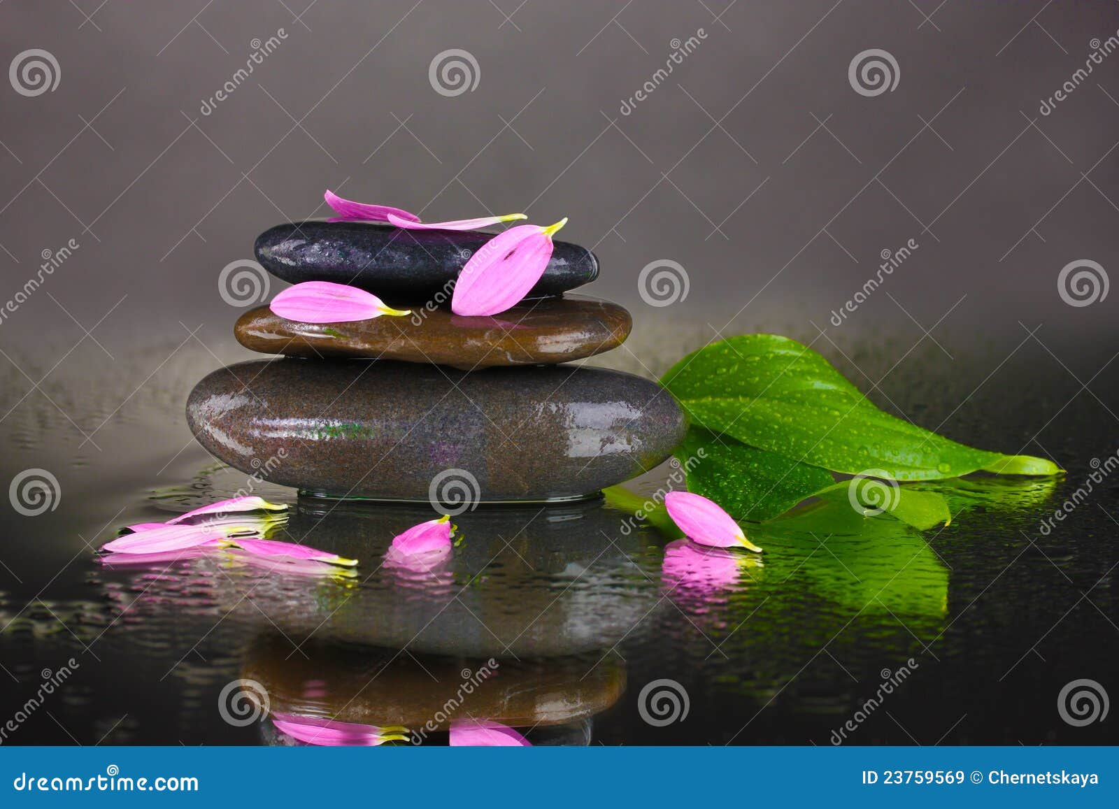 Spa Stones with Water Drops and Leaves Stock Image - Image of gray ...