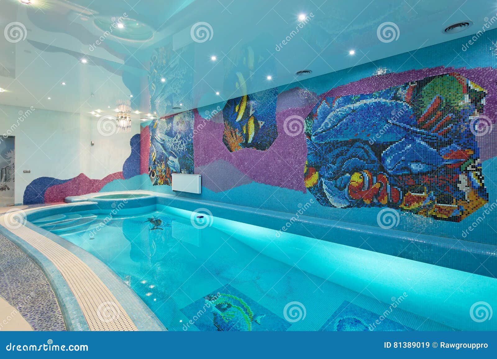 Spa Swimming Pool Design with Mosaic Fish on the Wall Stock Image ...