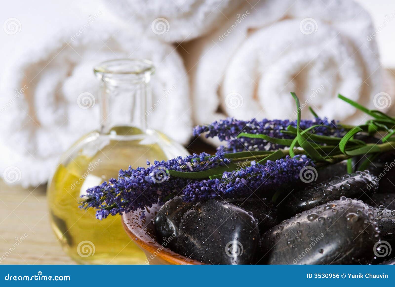 Spa Tools Picture. Image: 3530956