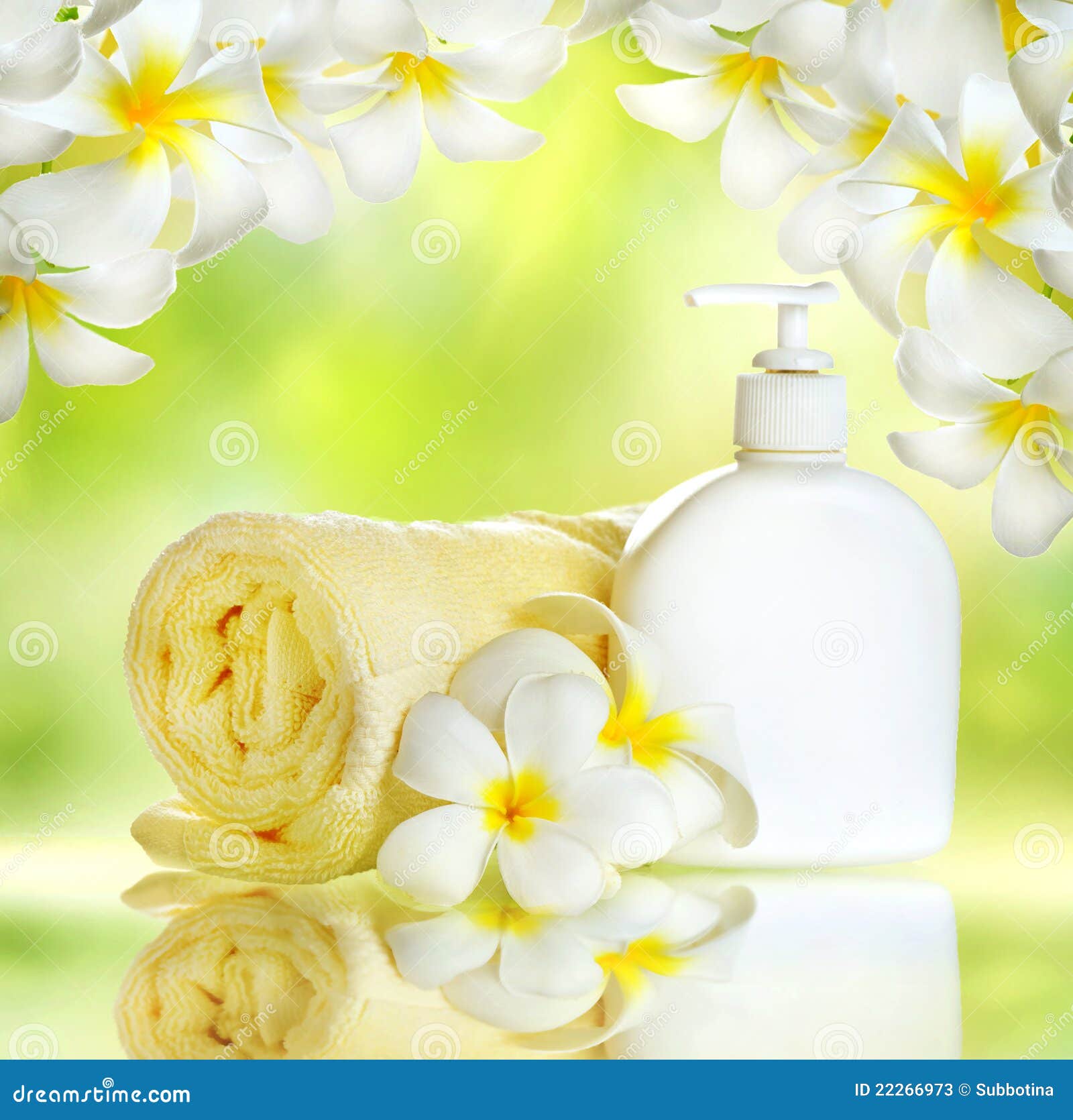 Spa Treatments. Lotion stock image. Image of flower, floral - 22266973