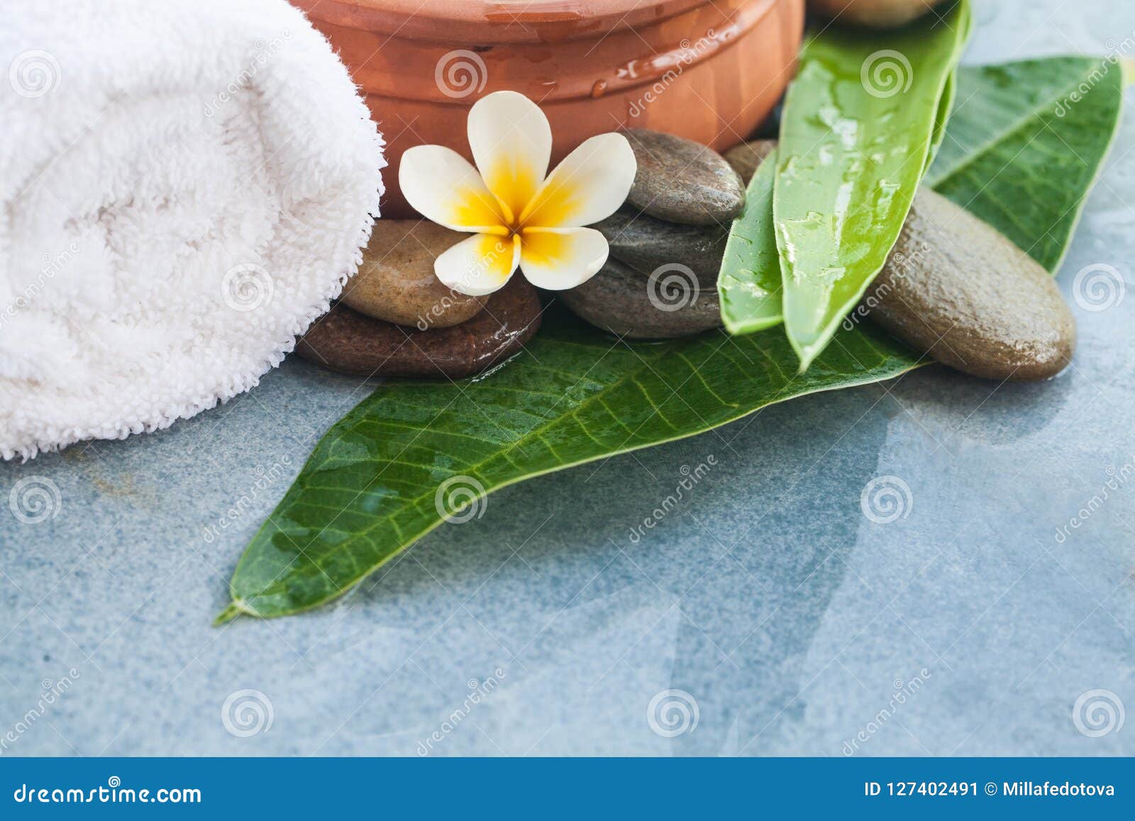 Spa Tropical Objects for Relax Massage on Blue Stock Image - Image of ...
