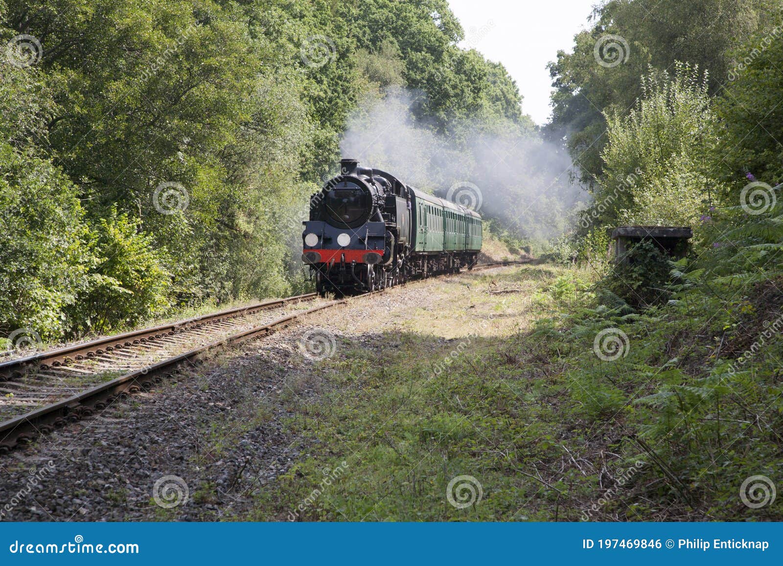 Spa Valley Railway stock photo. Image of track, locomotive - 197469846