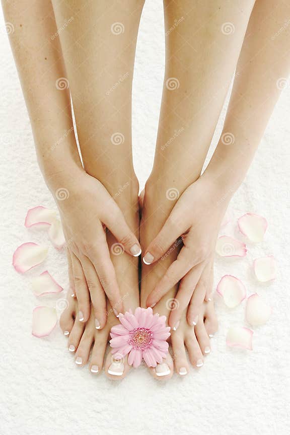 Spa and wellness stock photo. Image of female, hand, life - 6038366