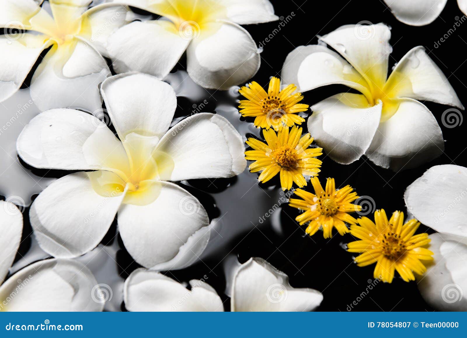 Spa , Wellness & Aromatherapy Concept,beautiful Flowers in the Stock ...