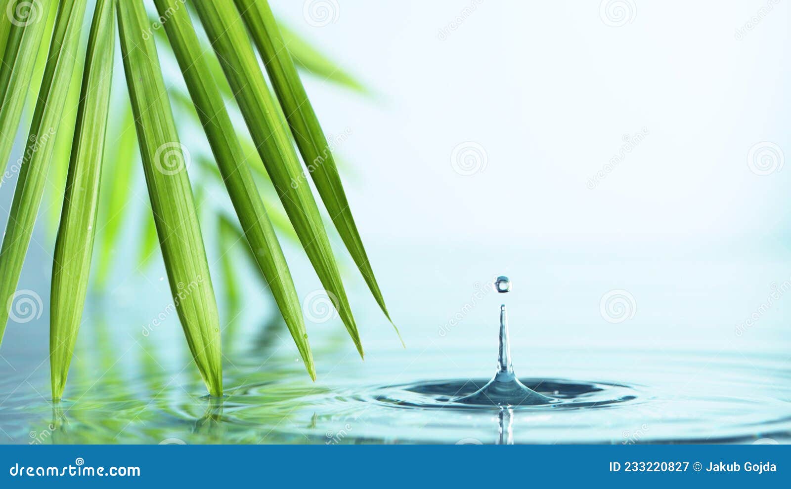 Spa and Wellness Background with Water and Leaves Stock Image - Image ...