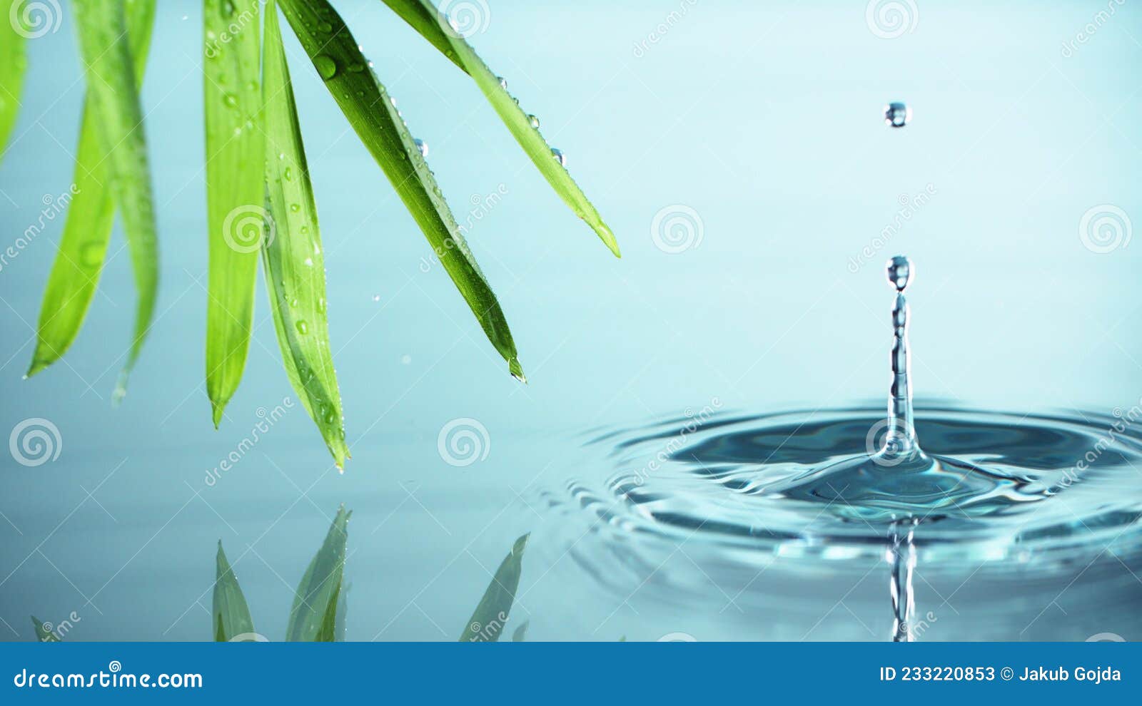 Spa and Wellness Background with Water and Leaves Stock Image - Image ...