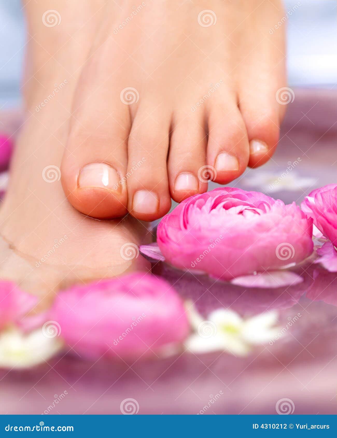 Spa and wellness details stock photo. Image of bath, aromatherapy - 4310212