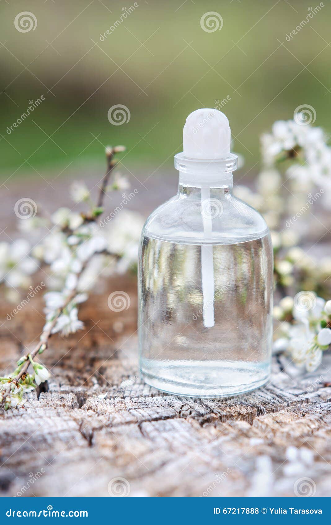 Spa And Wellness Setting With Sea Salt Oil Essence Flowers And Stock