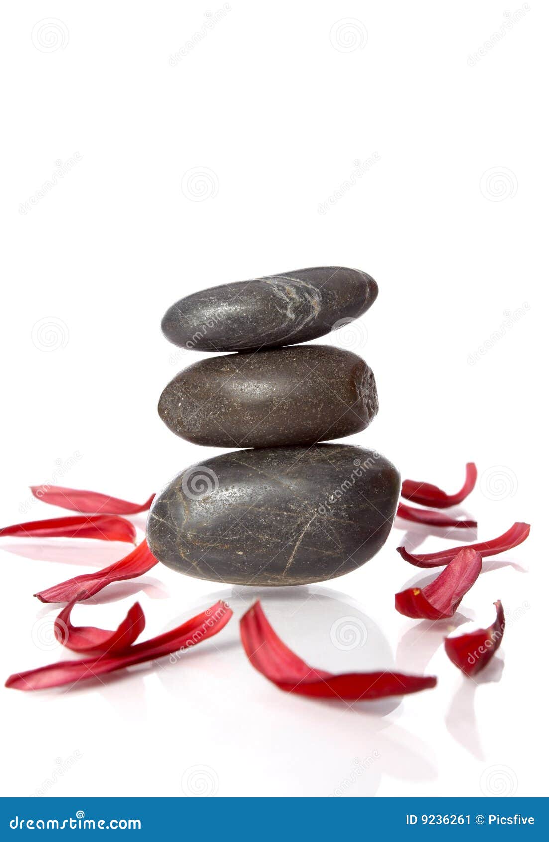 Spa white stock image. Image of calmness, isolated, feminine - 9236261