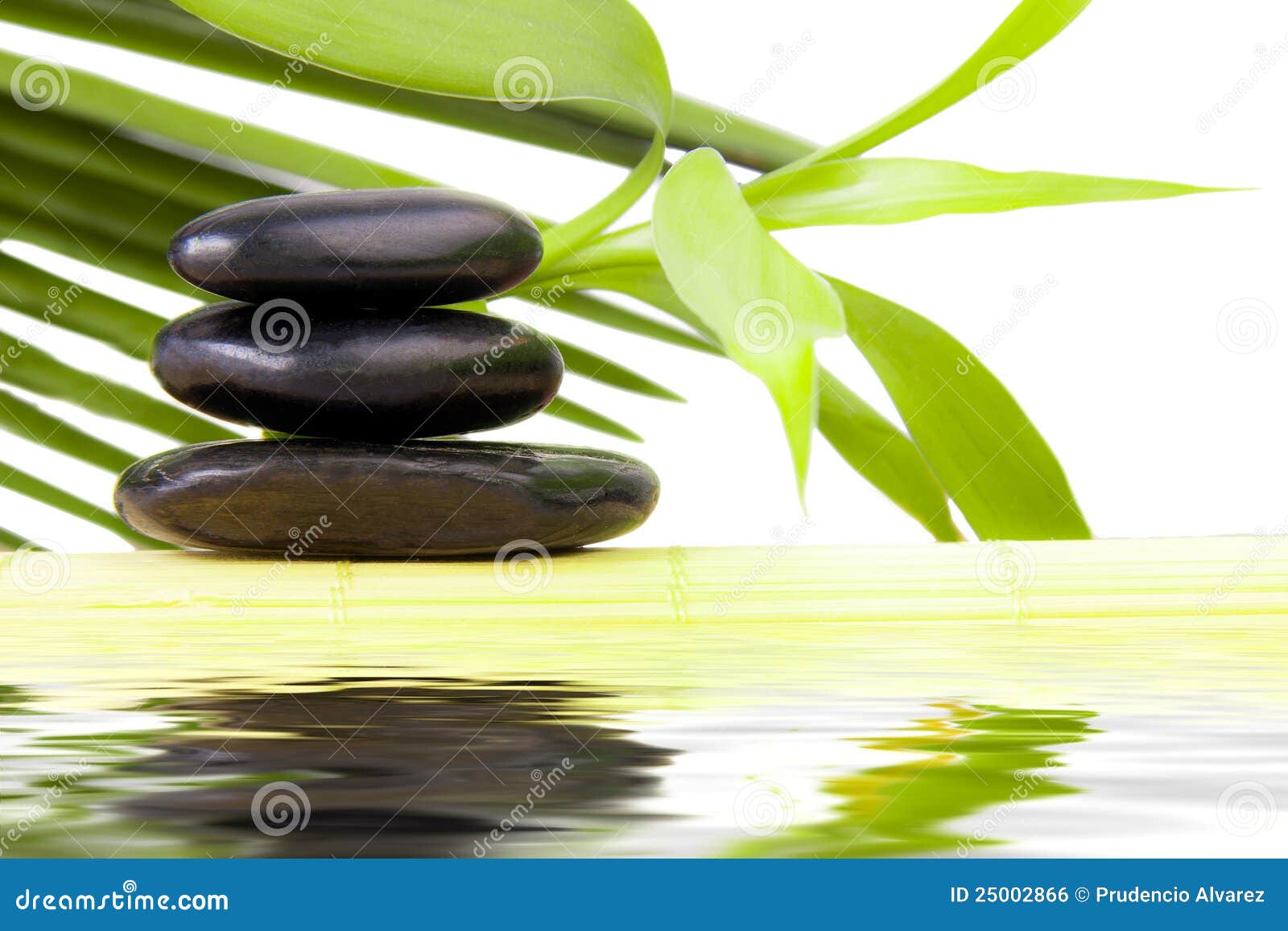 Spa zen stock photo. Image of healthy, leaf, care, aroma - 25002866