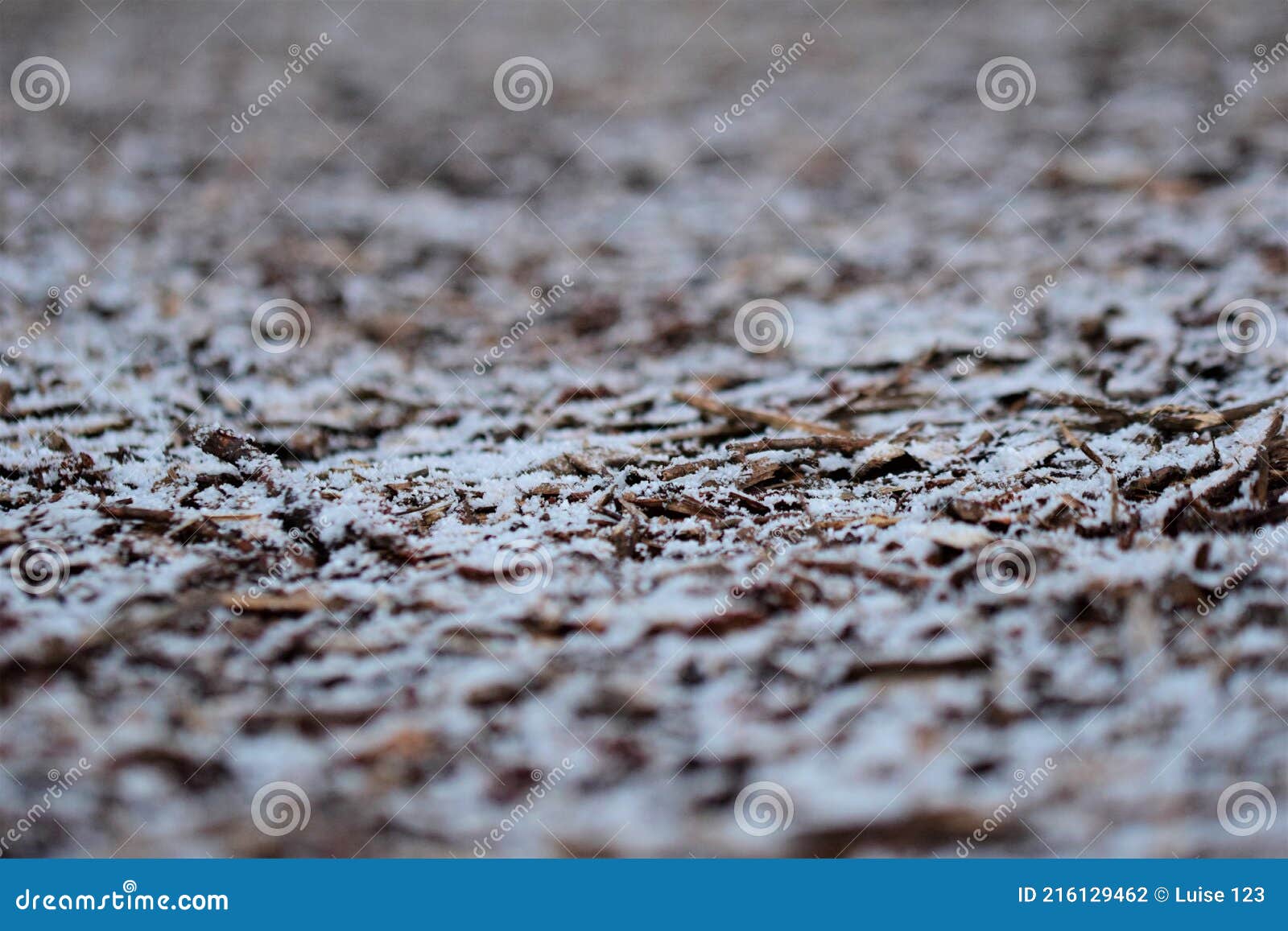 Spaanders Van Snowy Op De Grond Als Klap Met Verschillende Focus Stock ...