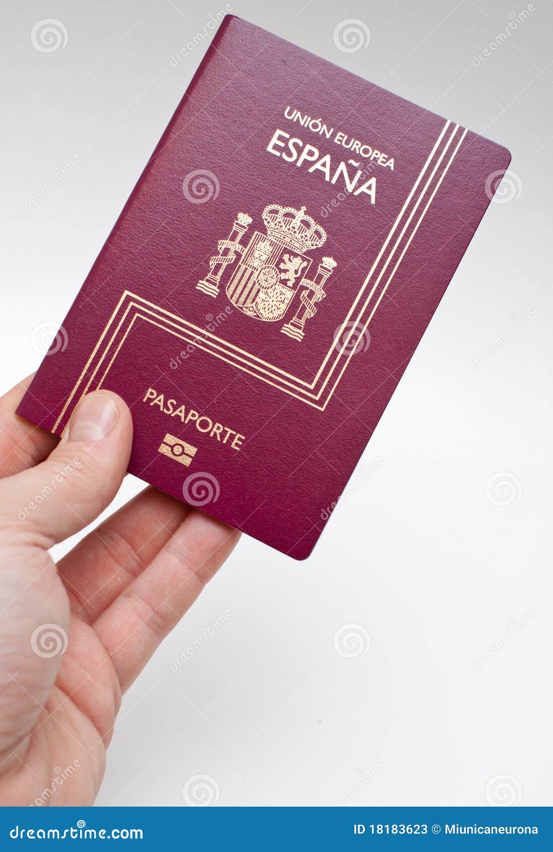 Spaans paspoort stock afbeelding. Image of geef, wapen - 18183623