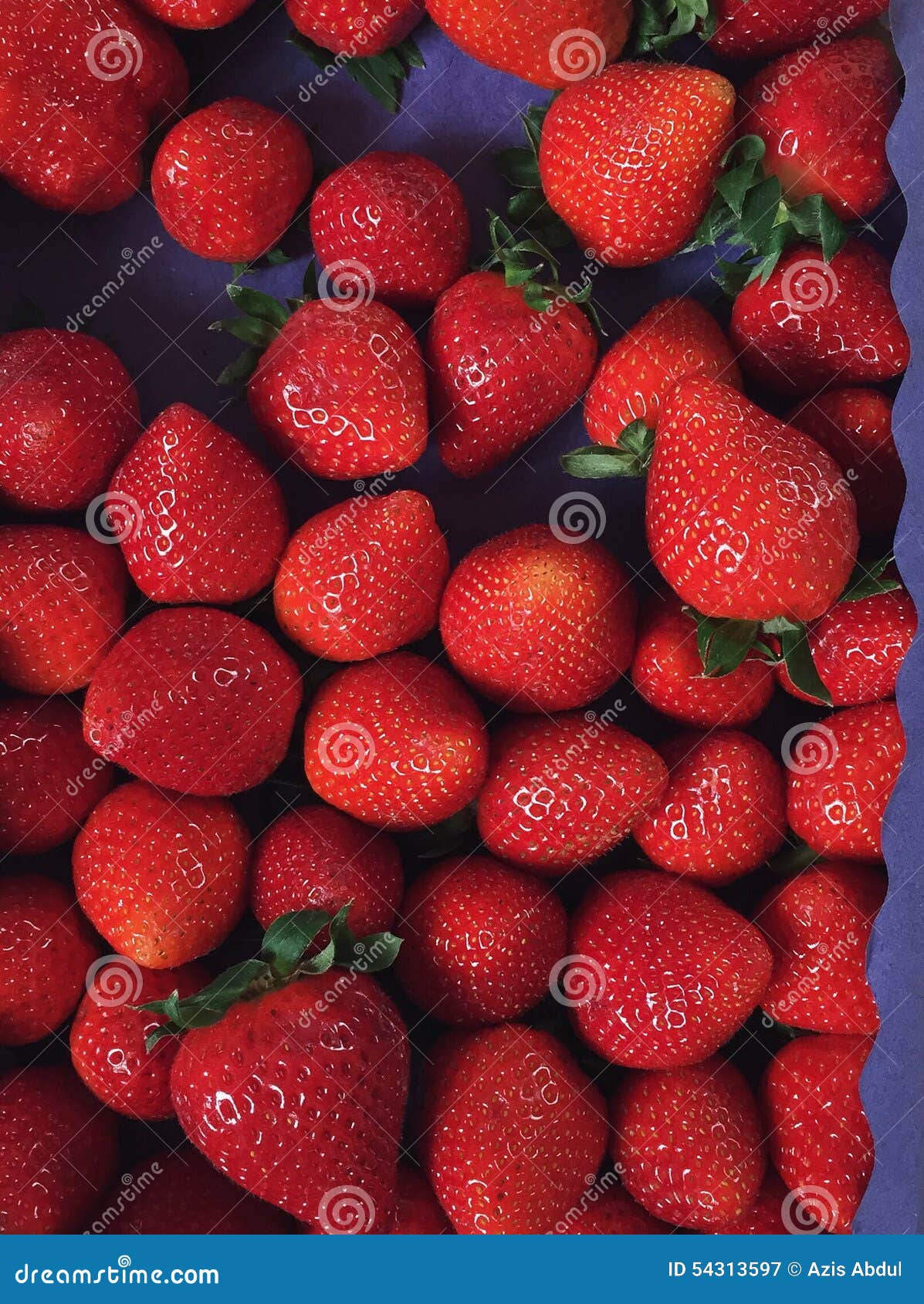 Spaanse aardbeien stock afbeelding. Image of spaans, mooi - 54313597