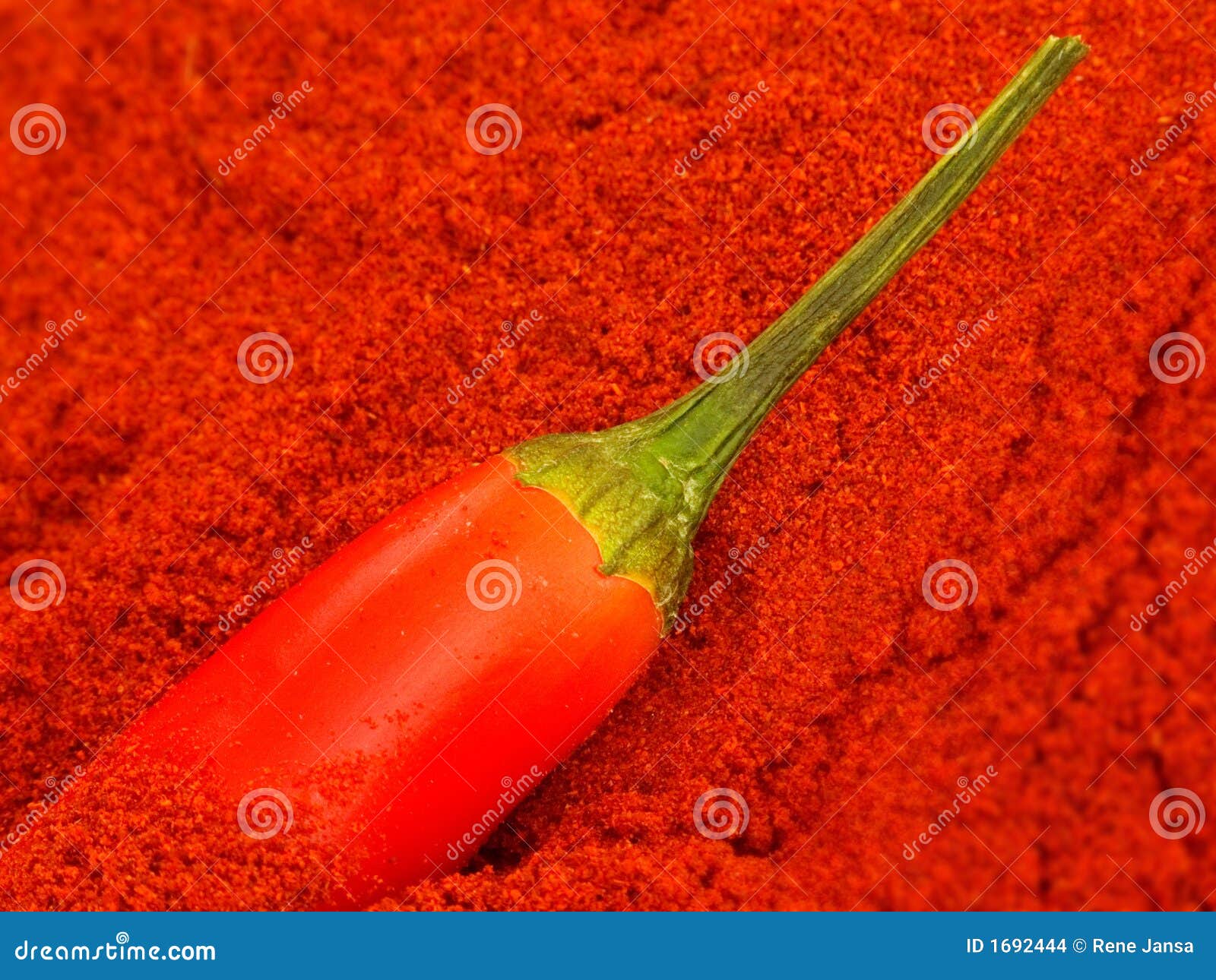 Spaanse peper op Rood stock foto. Image of scherp, eetbaar - 1692444