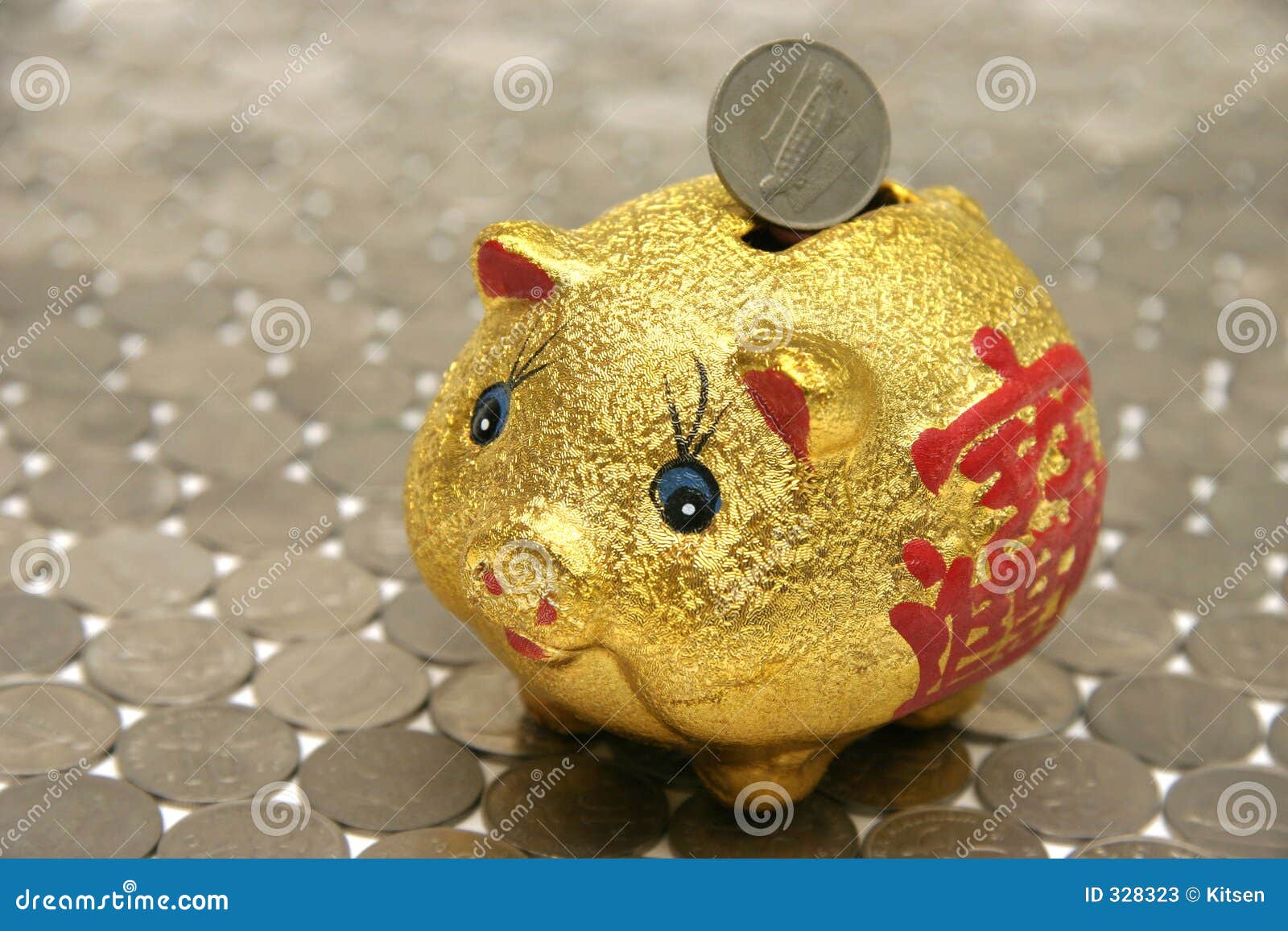 Spaarvarken Picture. Image: 328323